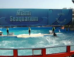 Miami Seaquarium in United States ~ Tourist Attraction