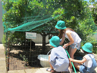 Escolas do Centro Social Paroquial de N.ª Sr.ª da Anunciada: “As ...
