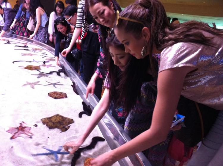 The Perfect Miss: Miss Internacional 2011, Maria Fernanda Cornejo en Japón