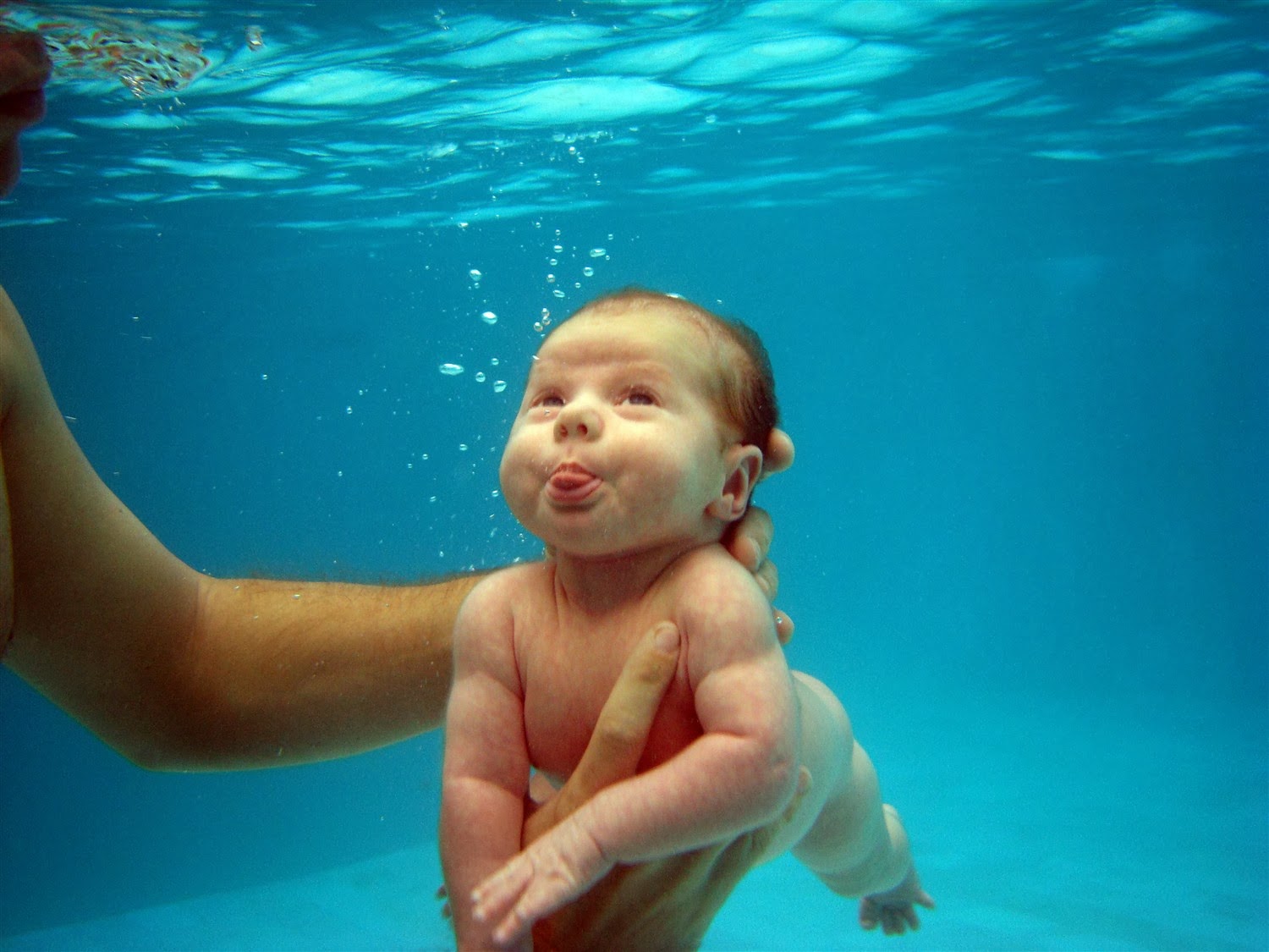 Tropical Dreams: Tropical Dreams - Part Sixteen