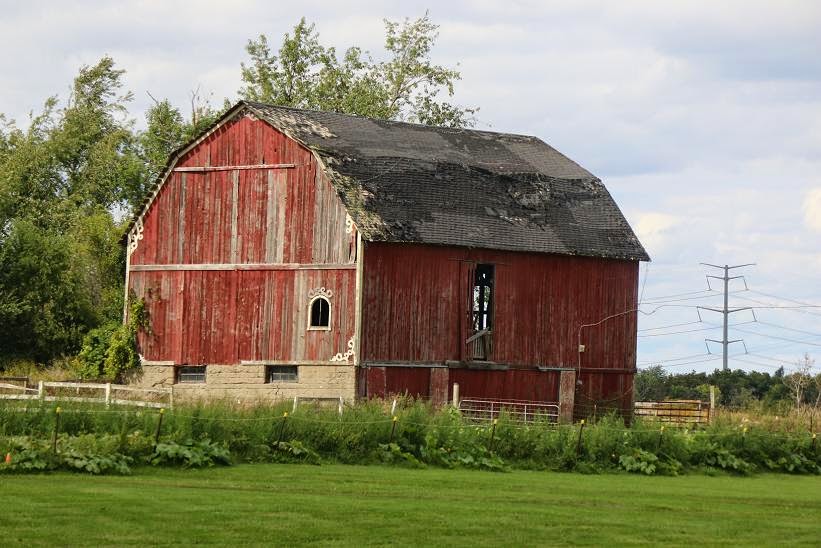 Michigan Exposures: The Michigan Renaissance Festival