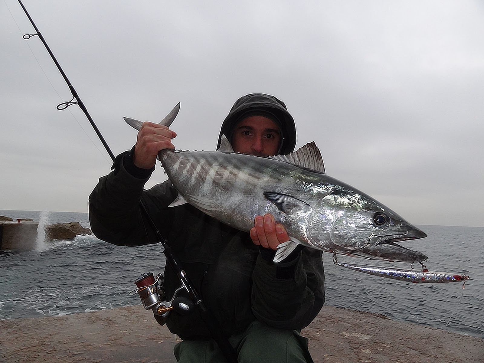 RC fishing: Bonito on lures