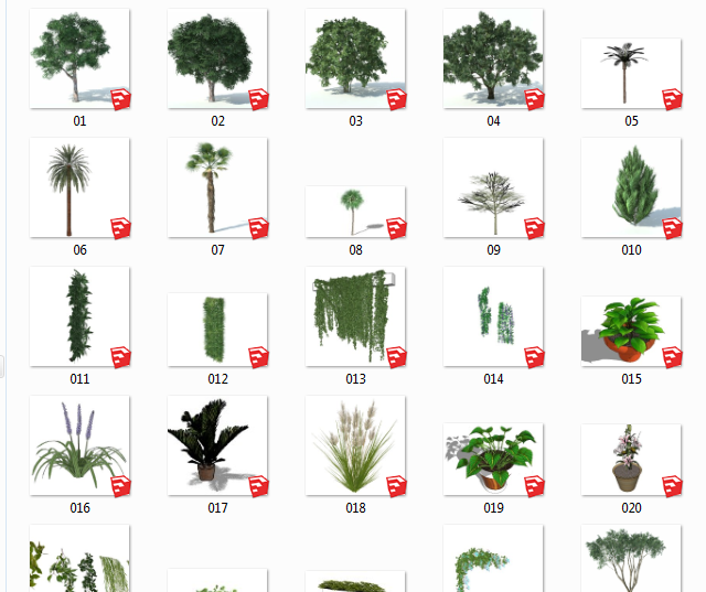 Model Sketchup : Pohon (2)