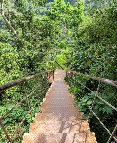 Tamilnadu Tourism: Kiliyur Falls, Yercaud