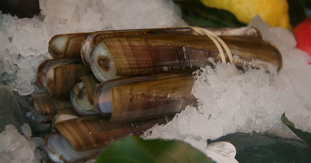 Navajas: propiedades, beneficios y su uso en la cocina.