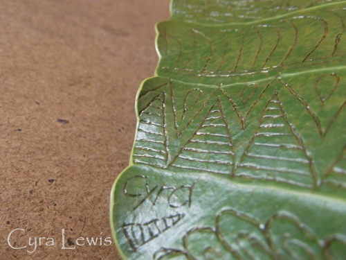 Zen Art Doodles: Zendoodles On A Leaf