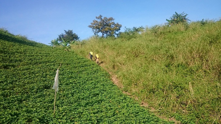 Mt. Mapait: The latest hiking destination in Palayan City Nueva Ecija ...