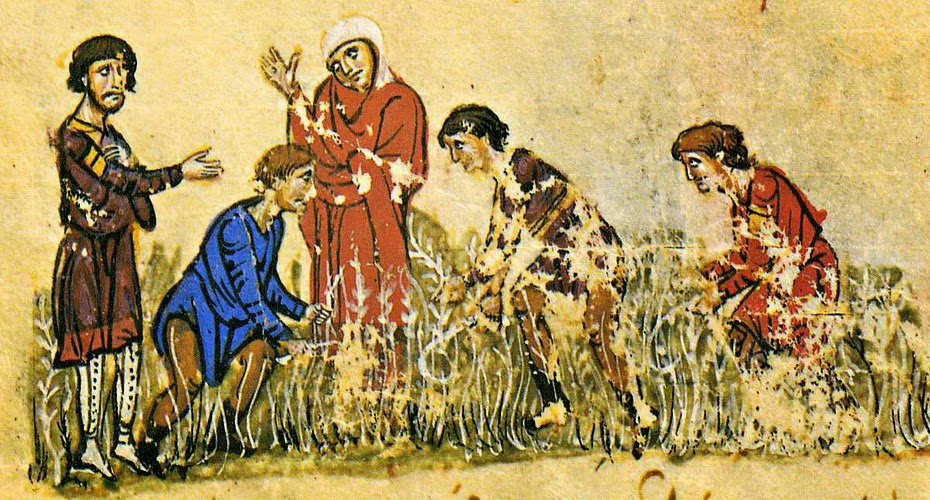 Η νομοθεσία της Μακεδονικής δυναστείας και η σύγκρουση της με τους ...