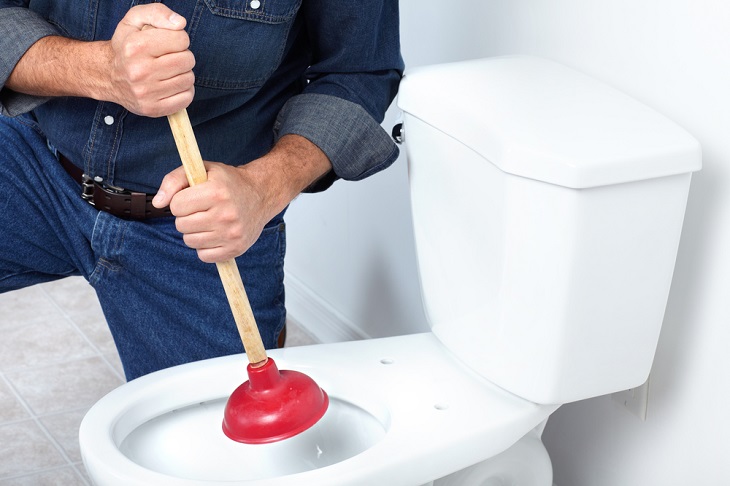 Why You Need Help with A Blocked Toilet and How to Get Help ~ Creative ...
