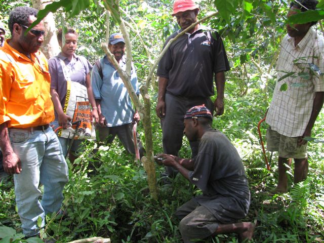 Malum Nalu: Hidden Valley mine supports Coffee Industry Corporation ...