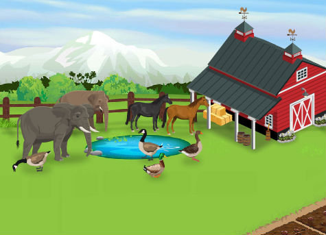 Barn Buddy Guru: Barn Buddy Photography Tips