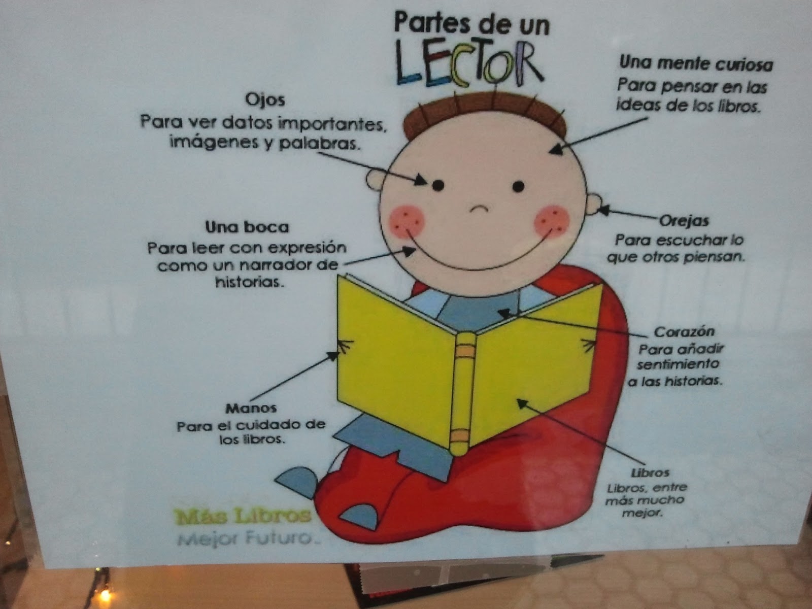 Libros que hay que leer: Partes de un lector