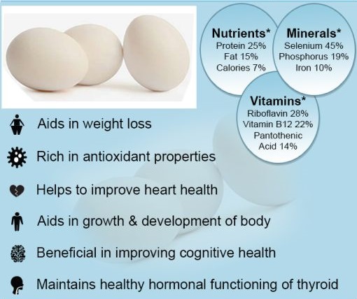 Good Health & Nutrition by Odra: Albumen : Cholesterol-free, Sugar-free ...
