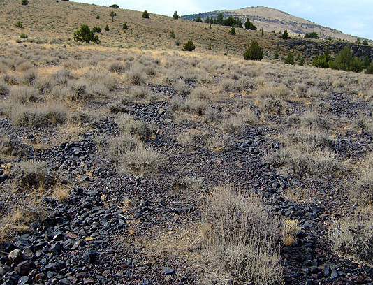 Northwest and Southwest Rockhounding: NFMS Rockhound Rendezvous 2011 ...