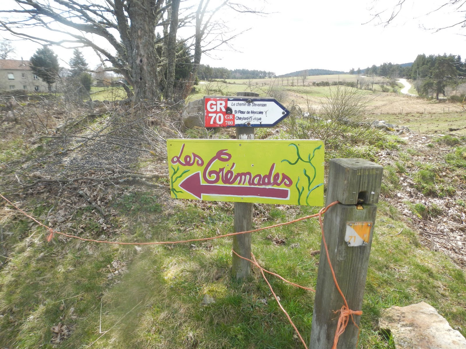 Hiking reports: The Robert Louis Stevenson Trail