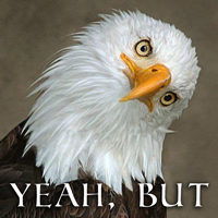 Songs of Eretz Poetry Review: Poem of the Day: An Independence Day ...