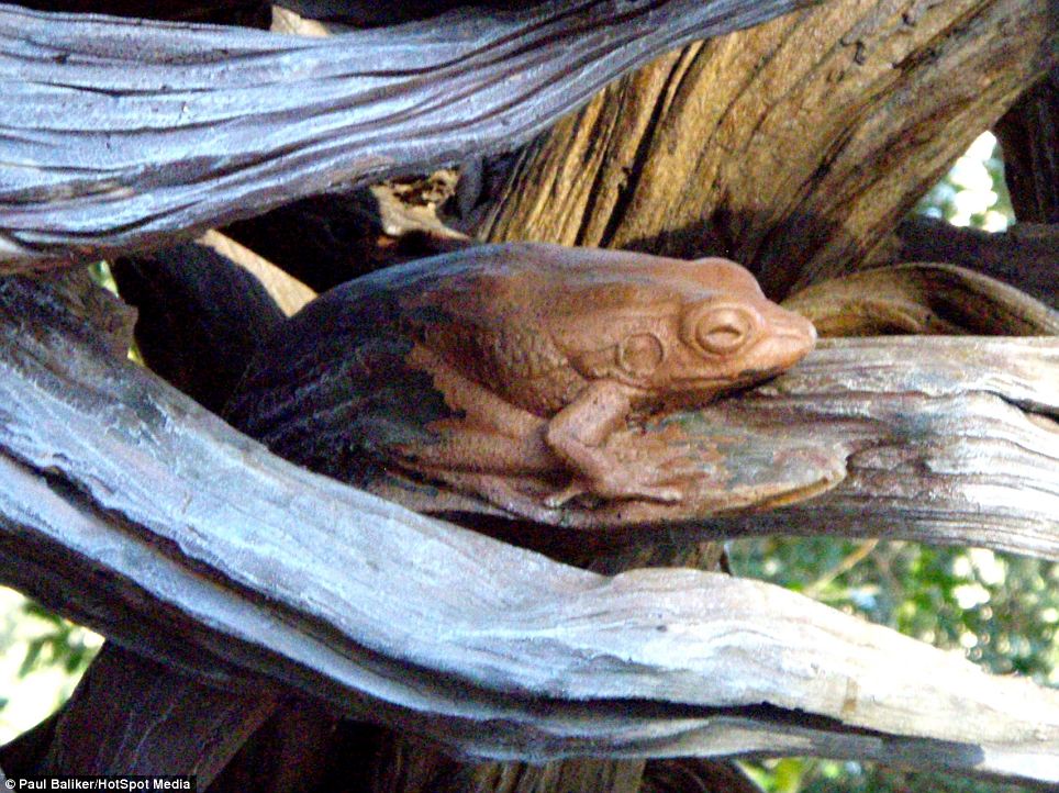 OLTRE IL MURO: ARTE e FOTOGRAFIA: PAUL BALIKER | ART