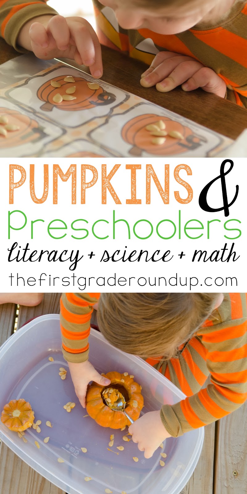 preschool pumpkin activities for halloween math & science ...