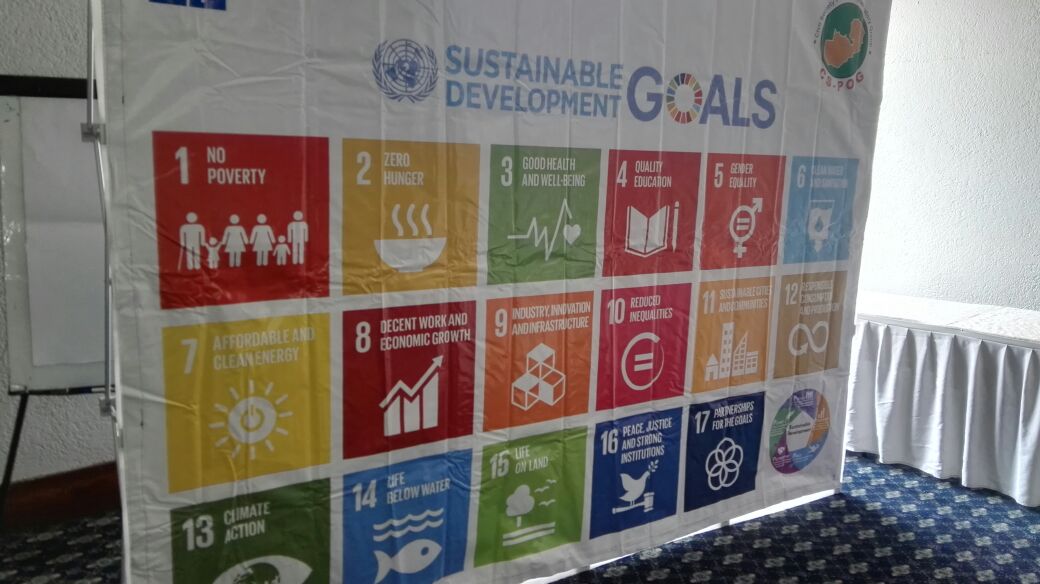 The Zambian Analyst: United Nations And Civil Society Roll Out ...