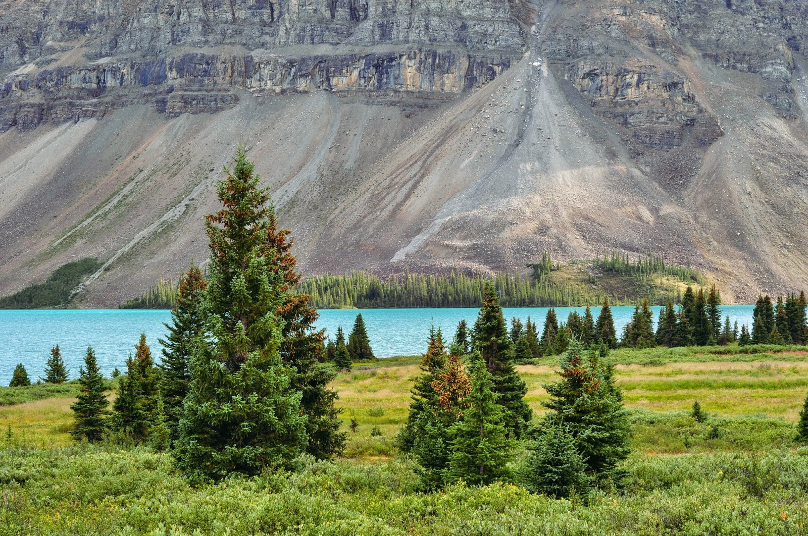 The Maple Syrup blog: Road trip to Banff. Part 1.