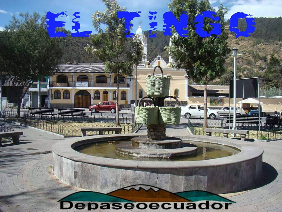 DEPASEOECUADOR: EL TINGO
