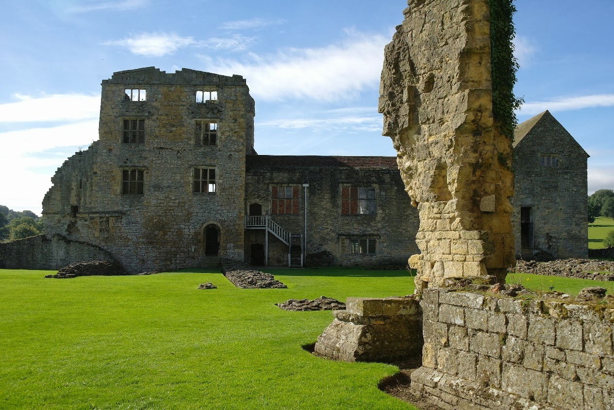 Getting About a Bit - Walking: Helmsley Castle and The Birds of Prey ...
