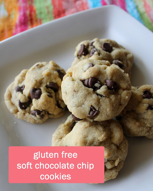 Auntie Bethany - The Best Gluten Free: Gluten Free Soft Chocolate Chip ...