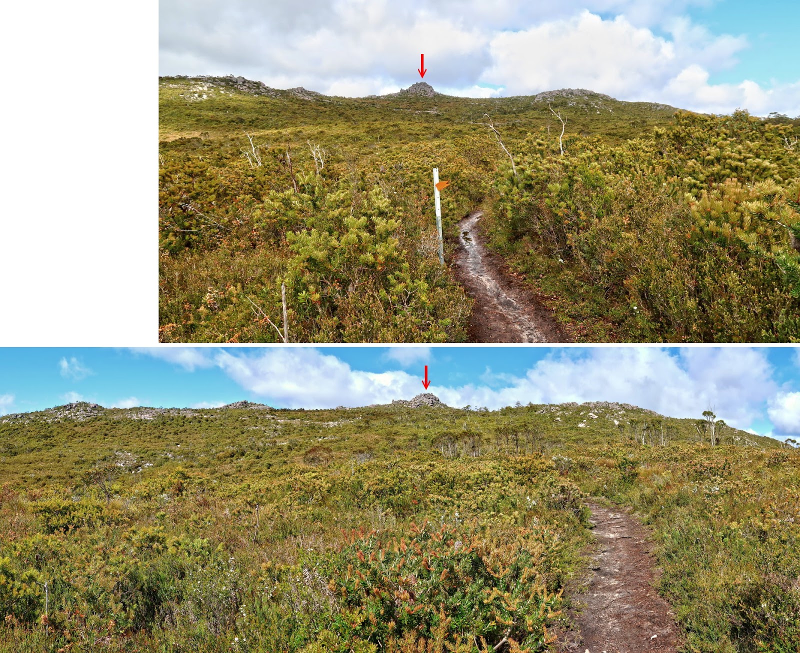 Mountains: Mt Roland, Mt Vandyke, Mt Claude Lookout, Tas, Australia