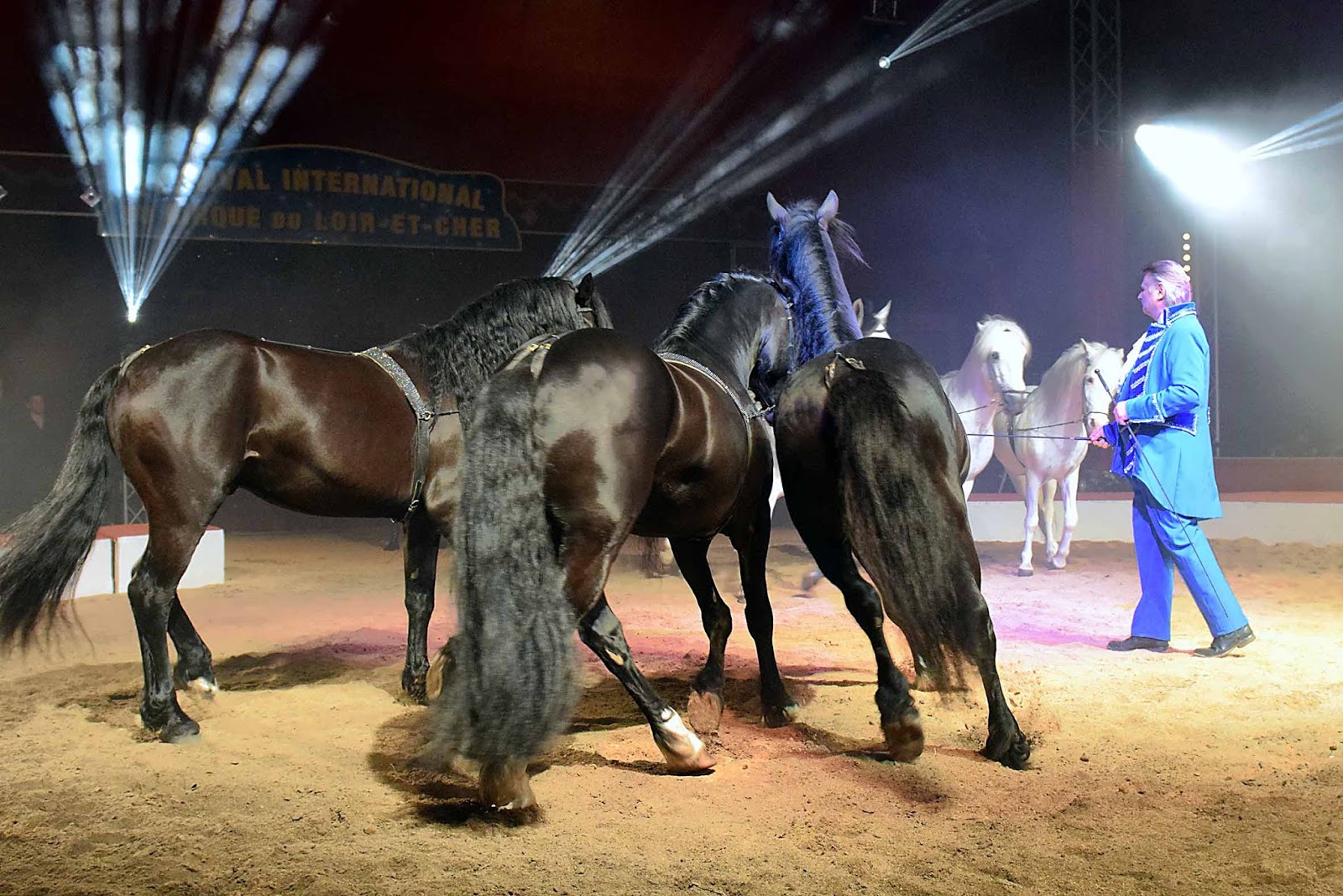 circus: Sacha HOUCKE (photos de Jean-Claude Cavier)