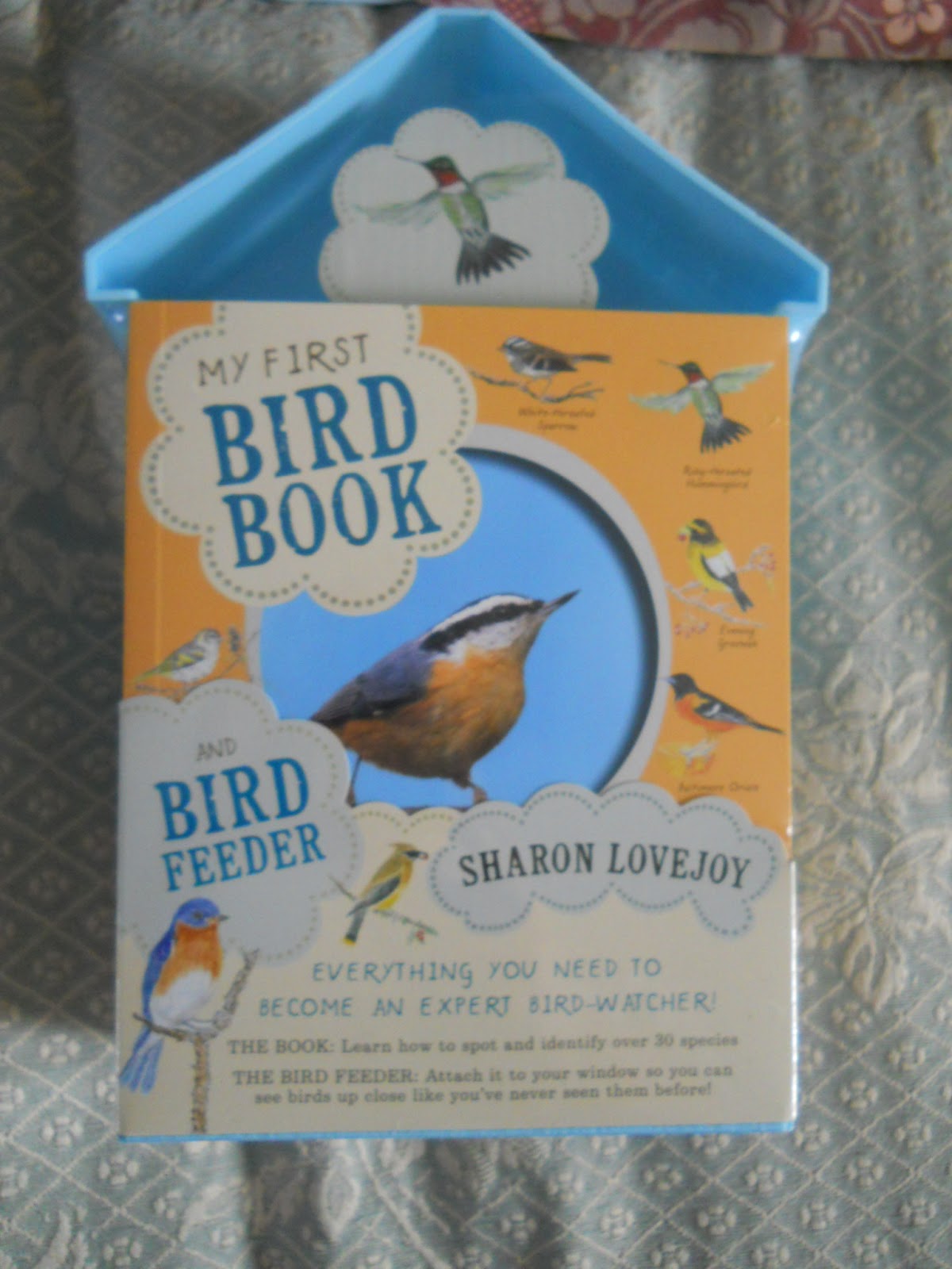 Lemon Verbena Lady's Herb Garden: My First Bird Book and Bird Feeder! A ...