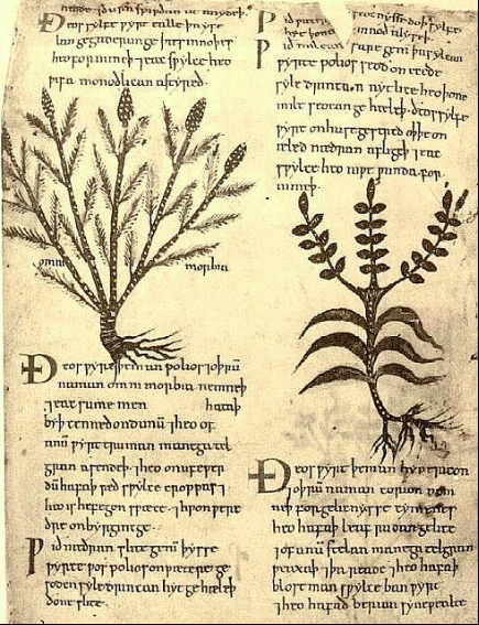 LACNUNGA :'''NO LO SE!!!... ¿O SI?