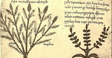 LACNUNGA :'''NO LO SE!!!... ¿O SI?