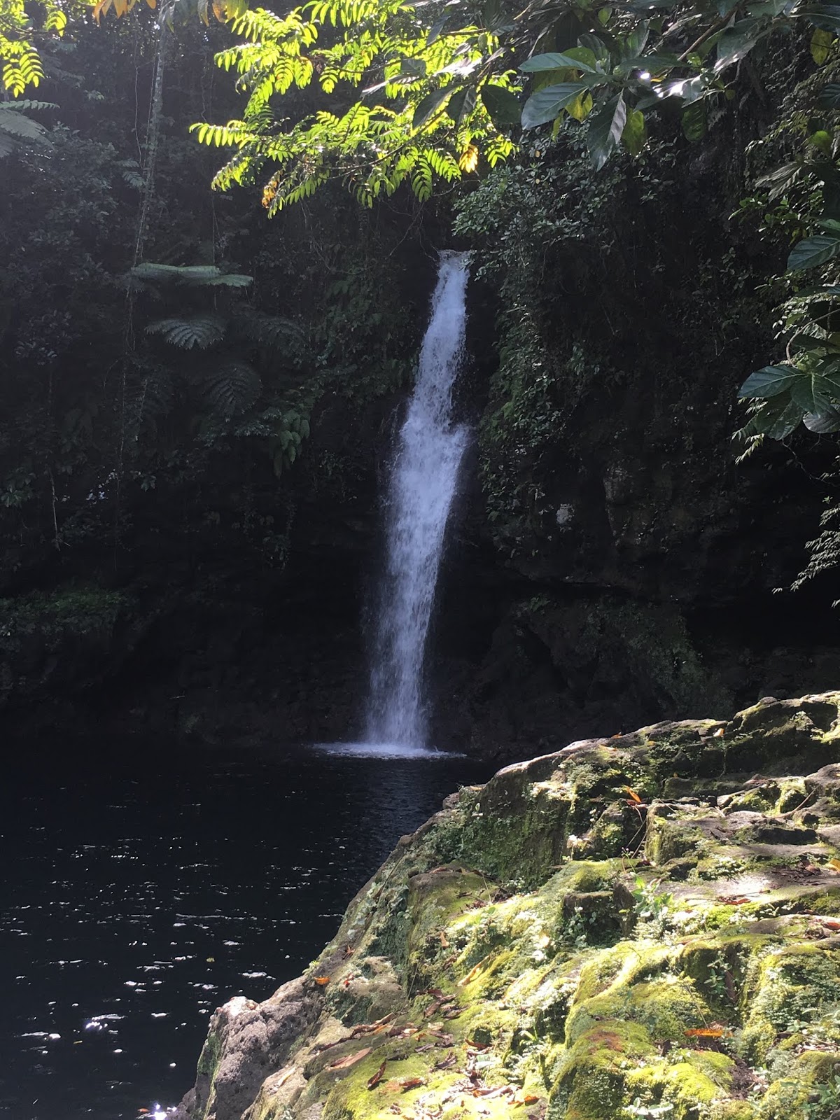 New ZimZim: Professional Development Vaiola, Savai'i, Samoa