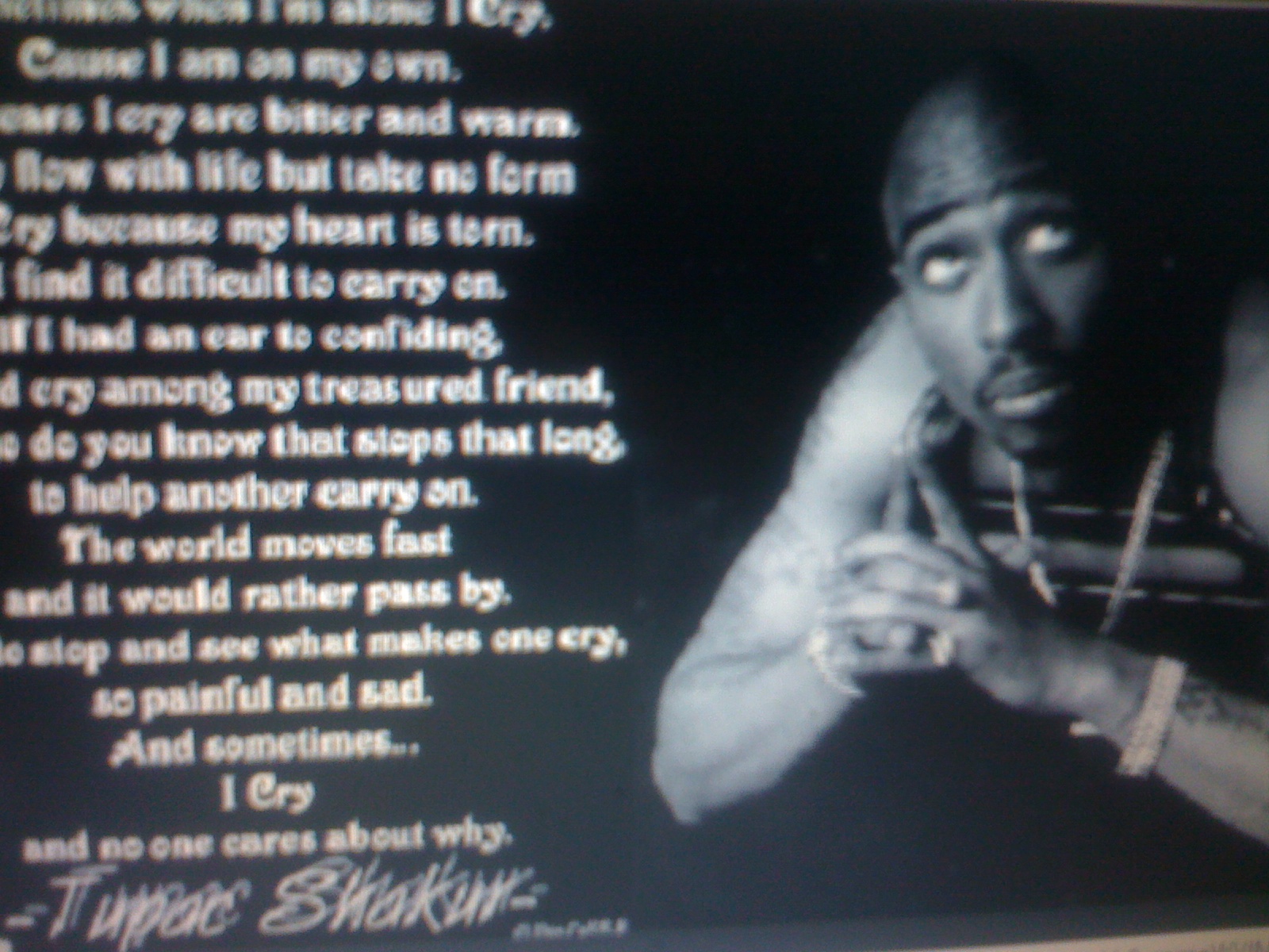 THE BLACK SOCIAL HISTORY:: BLACK SOCIAL HISTORY : 2PAC A BLACK YOUNG ...