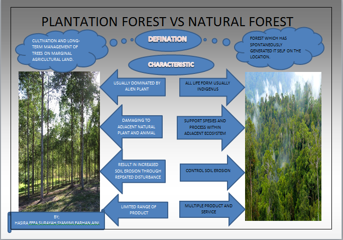 Introduction to Forest Science: PLANTATION FOREST VS NATURAL FOREST
