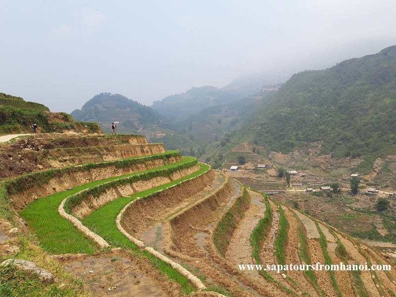 A Glimpse Of Tours To Explore Sapa 2 Days