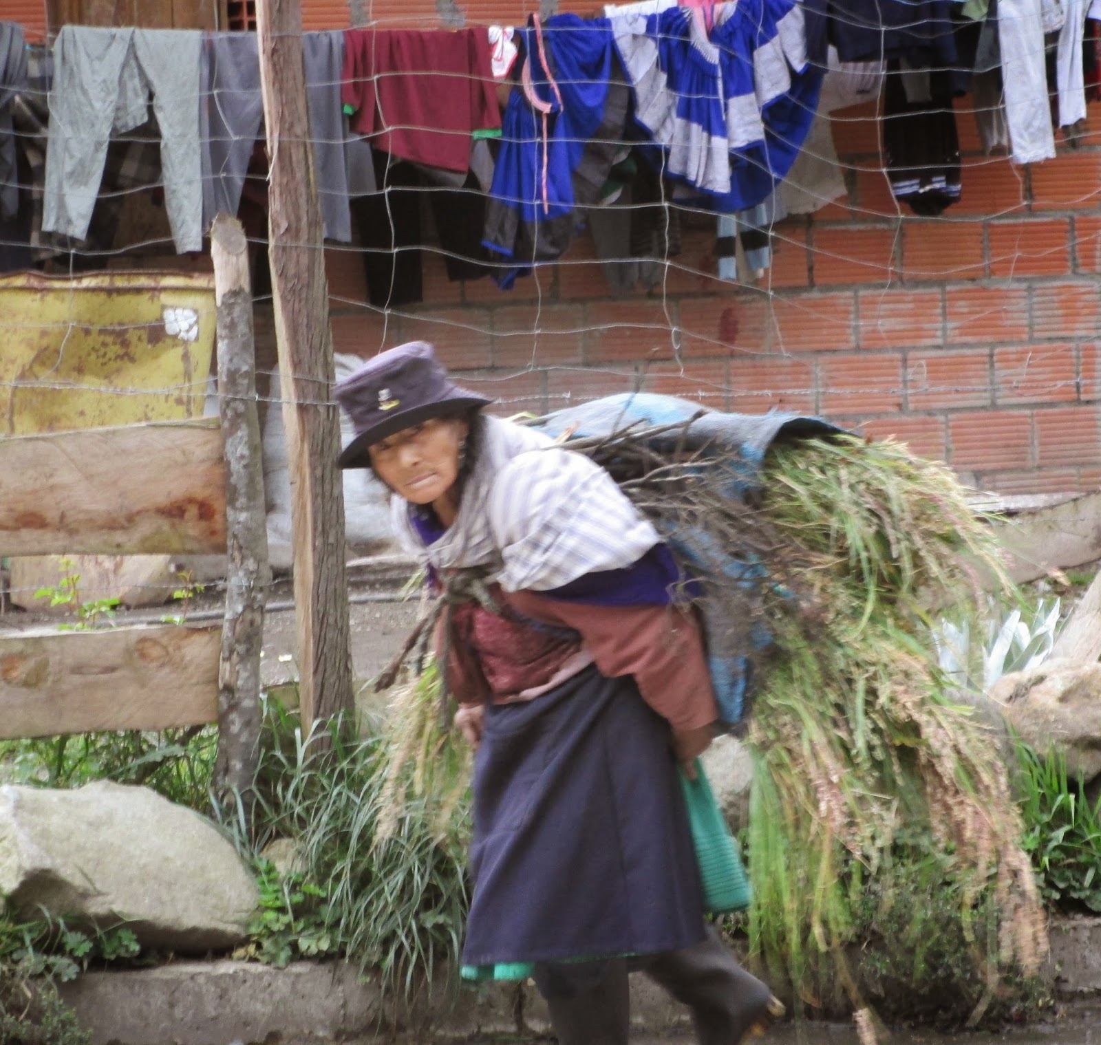 Pachamama Spectrum of Treasures: Indigenous Diversity in Ecuador