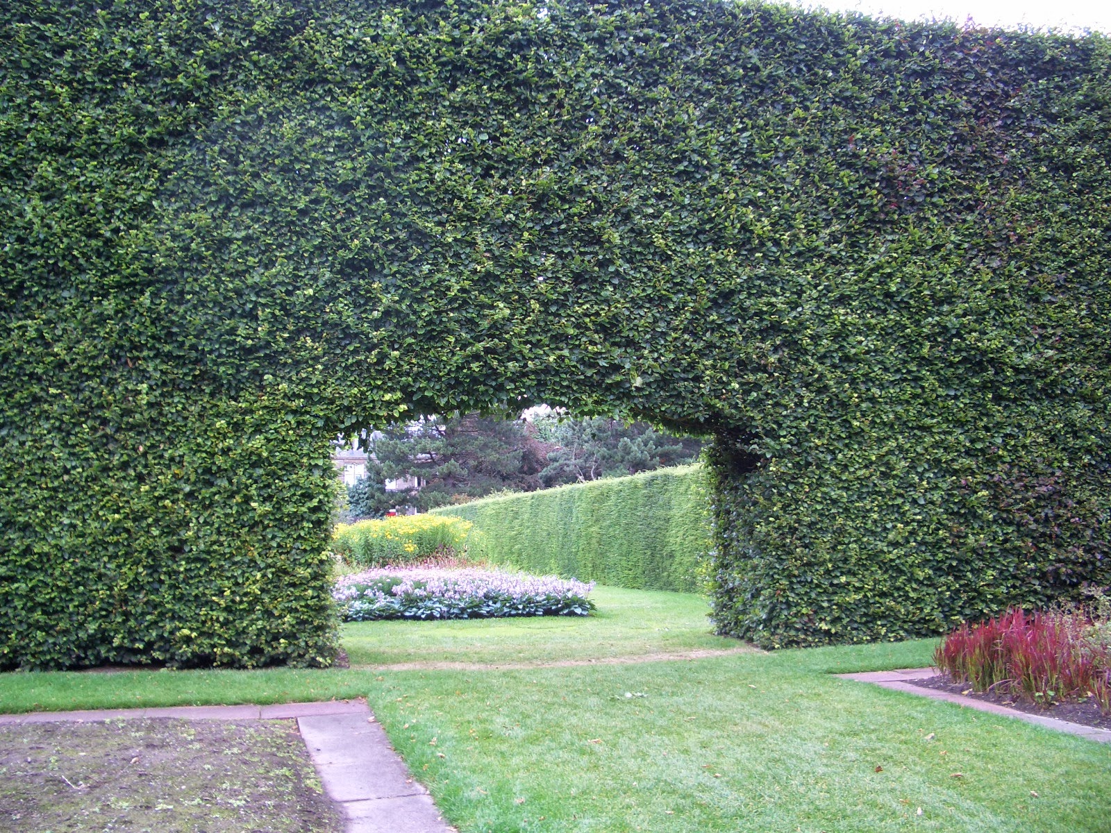 Dale Gilbert Jarvis: Through the gap in the hedge - Newfoundland ...