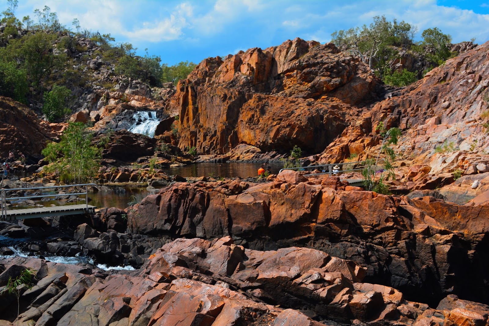 Life at the Holmestead