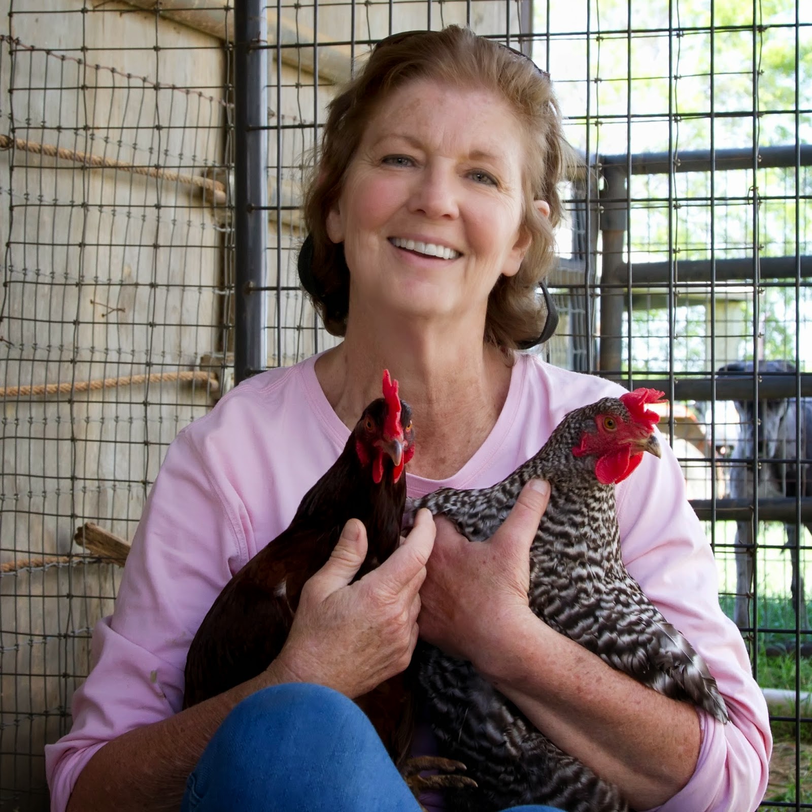 TerriMeador/Herradura Andalusians