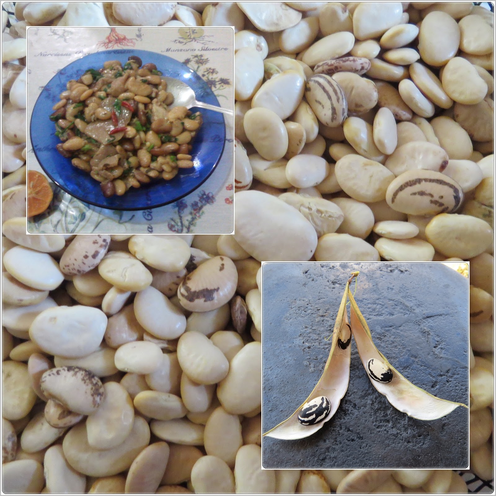 Tradições Populares das Vertentes: Favas contadas...