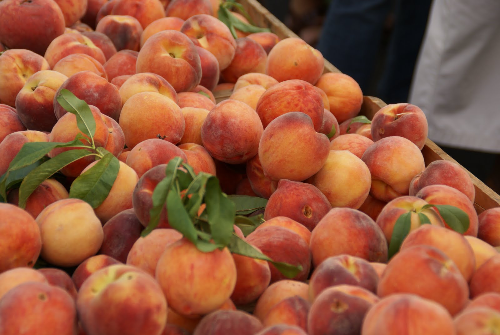 Grill A Chef: July 2011
