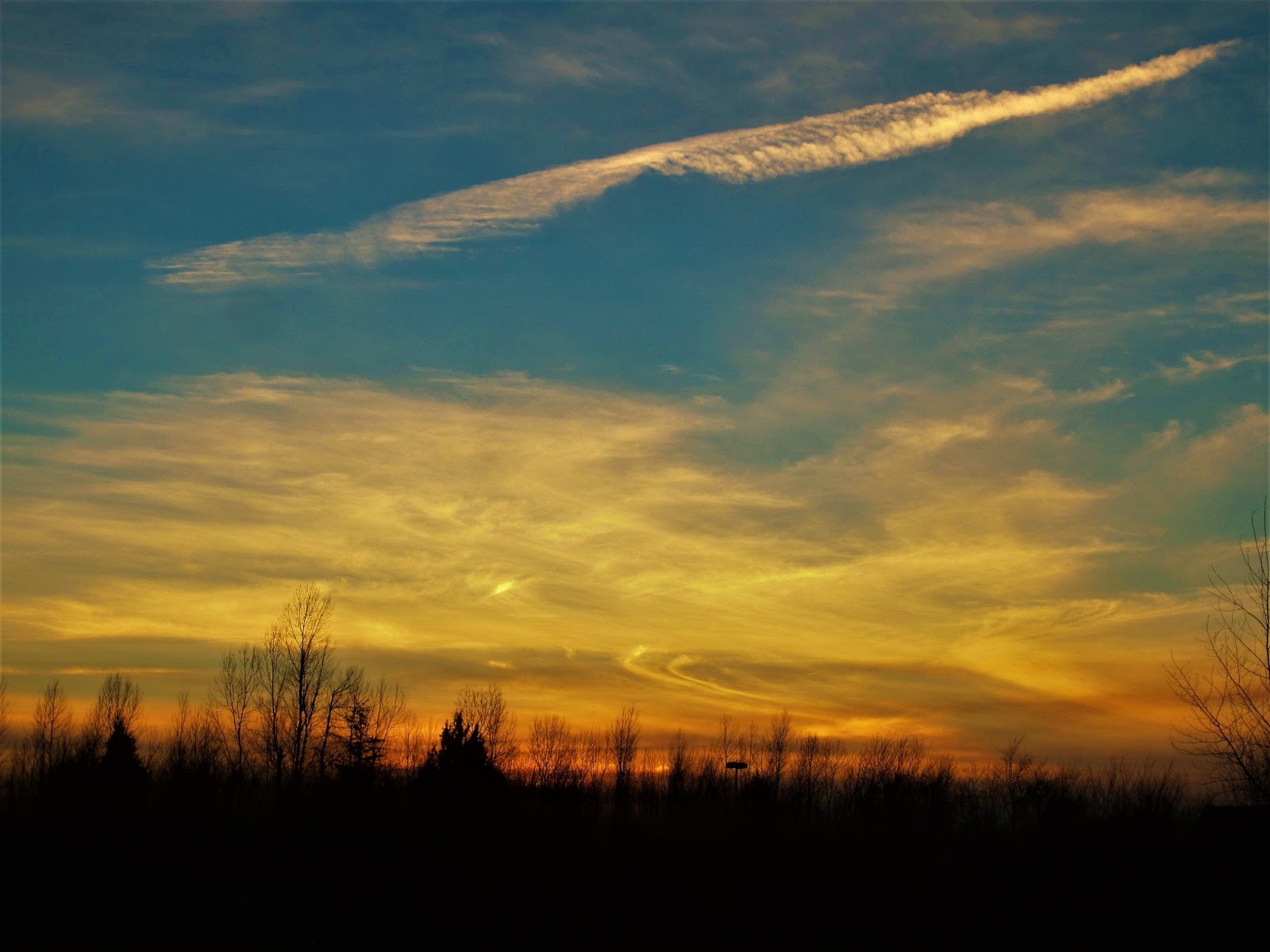 Beatrice Euphemie: January