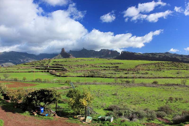 Foto Blog Gran Canaria: Fotos von Acusa Verde, Gran Canaria Nordwesten