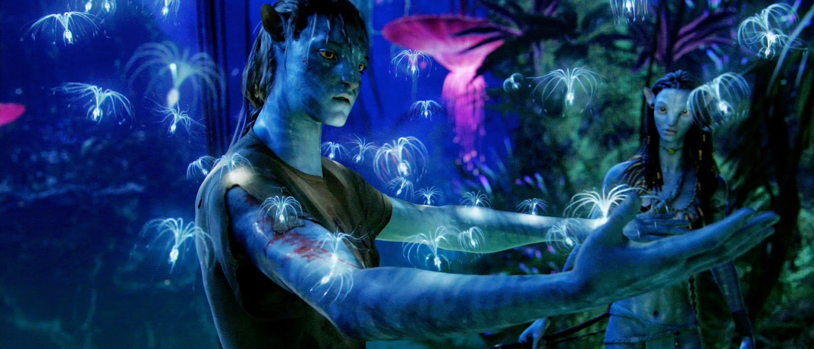 Wallpapers Avatar HD - Fondos De pantallas(Wallpaper)