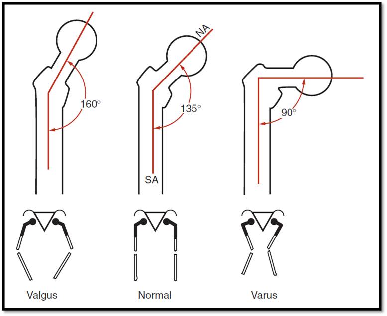 My Crazelu Land: Agustus 2011