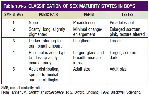 童心未泯の小兒筆札: Pubertal development
