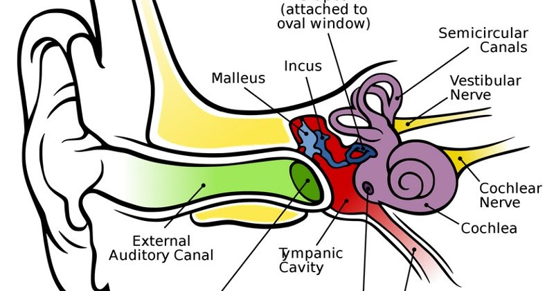 Journeys of heart and mind: Speak to the bones