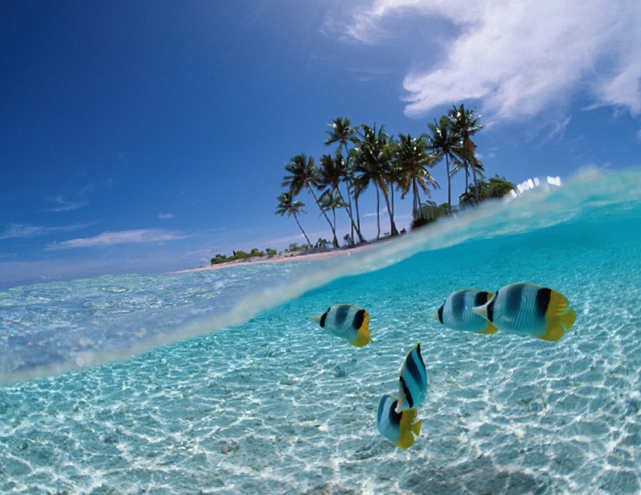 Wilayah Lautan Terdiri Atas 4 Bagian ~ Ruana Sagita