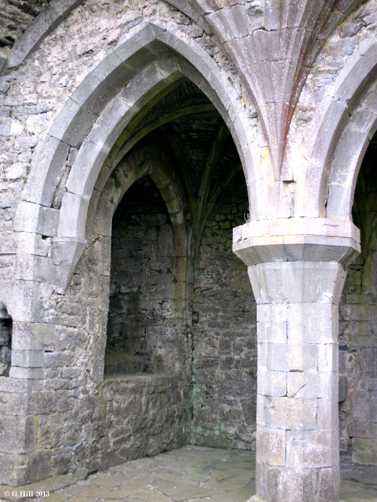 Ireland In Ruins: Kilcooley Abbey Co Tipperary